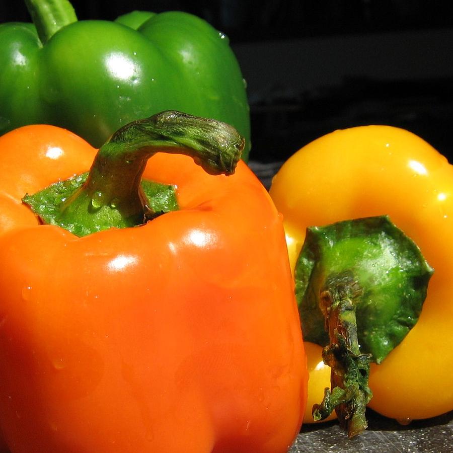 Pepper Photograph by Krista Barth - Fine Art America