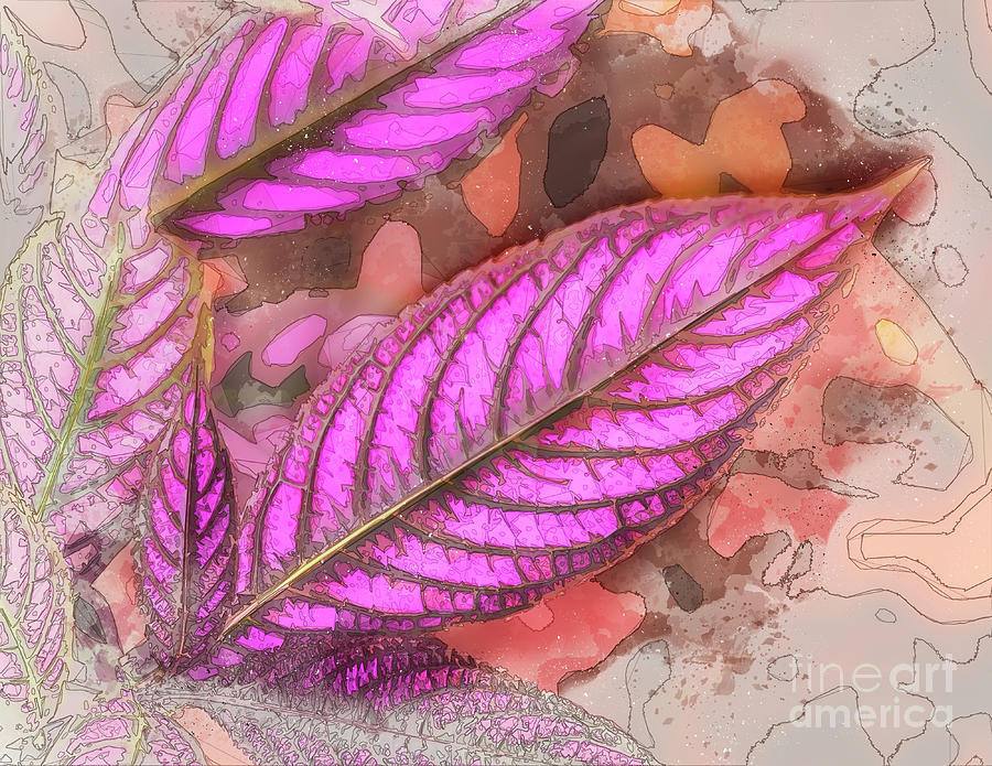 Persian Shield Mixed Media By Edelberto Cabrera Fine Art America