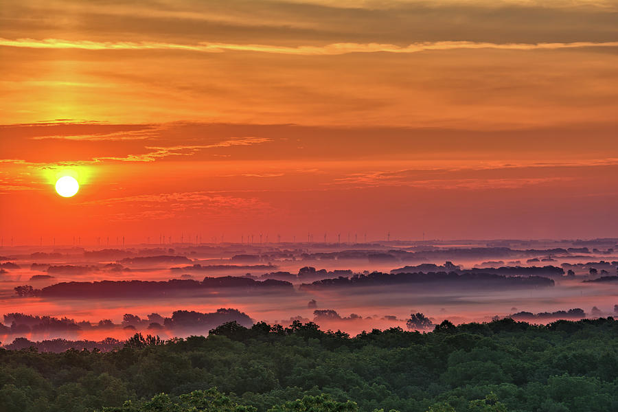 Pink Fog Lights Legal at Alica Martel blog