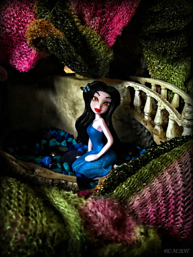 Pixie Pool Photograph by Catherine Melvin - Fine Art America