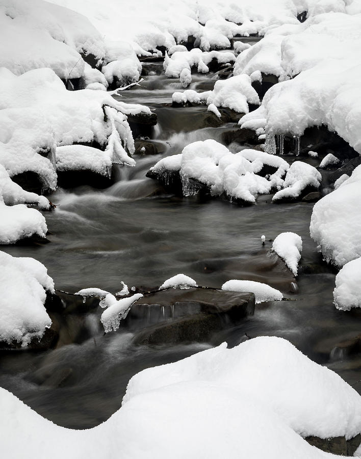 Plotter Kill Creek Photograph by Todd Higgins - Fine Art America