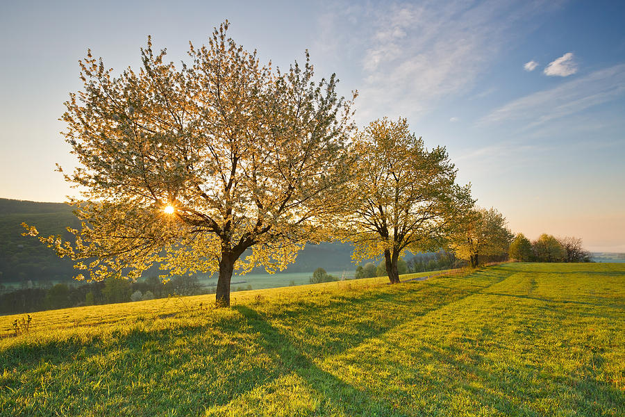 Poltar Region Photograph by Milan Gonda