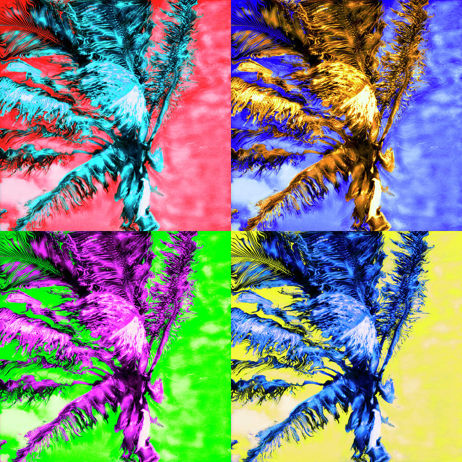 Pop Art Palm Photograph by Paul Tokarski | Fine Art America