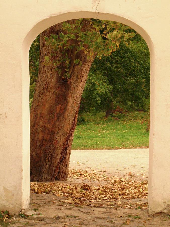 Portal Photograph By Viktoriya Sorochuk Fine Art America
