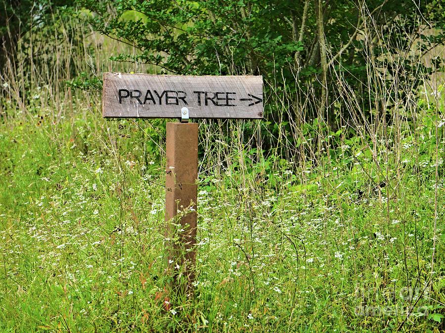 Prayer Tree Sign II Photograph by Gary Richards - Fine Art America