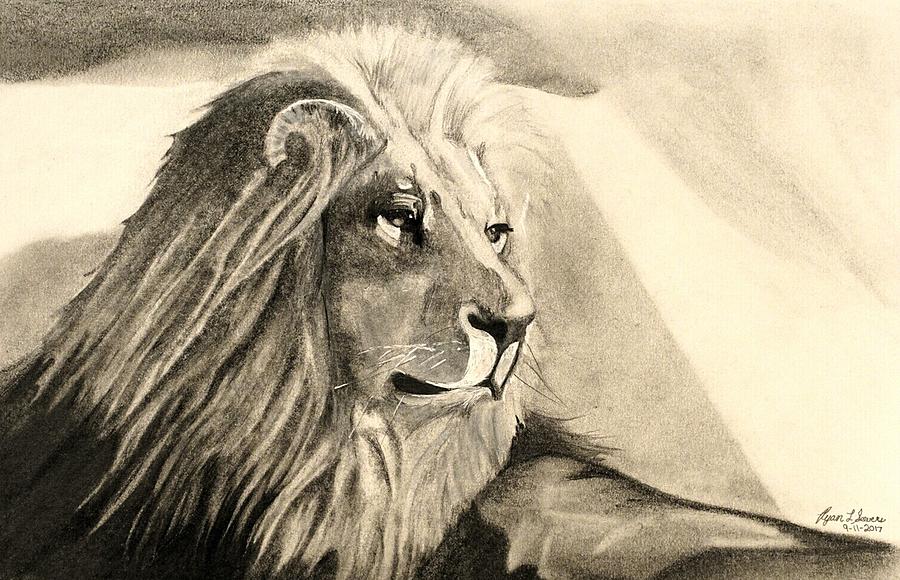 Pride Drawing by Ryan Seevers - Fine Art America