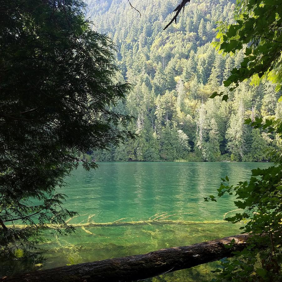 Pristine Photograph by Hillary Raimo - Fine Art America