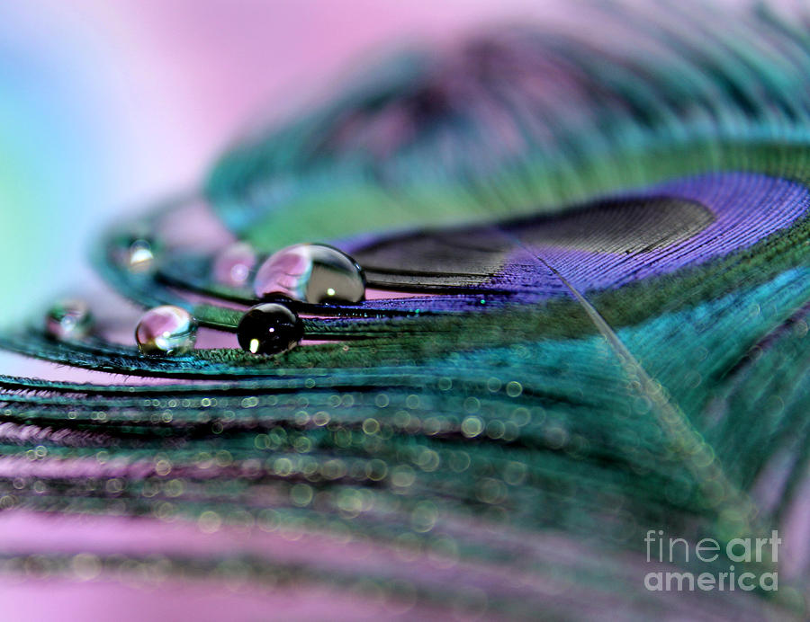 Proud Photograph By Krissy Katsimbras Fine Art America