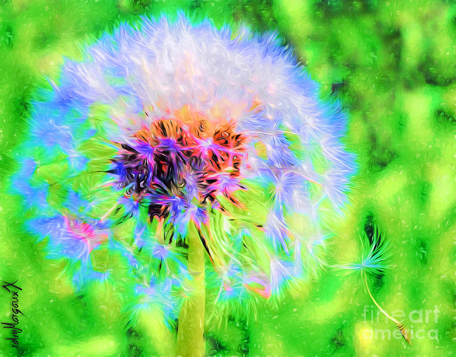 Psyche Dandi Photograph By Margaux Dreamaginations Fine Art America