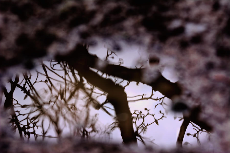 Puddle Reflection Photograph by Scott Bryan - Fine Art America
