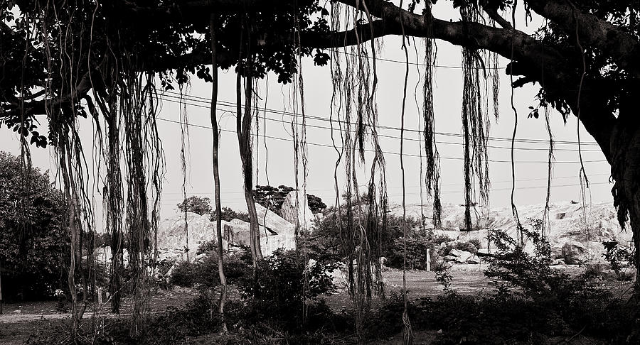 Puppeteer Photograph by Krishnan Srinivasan - Pixels Puppeteer Photograph by Krishnan Srinivasan - Pixels