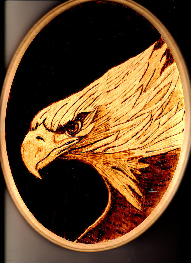 Pyrography Eagle Pyrography by Jay Johnston - Fine Art America