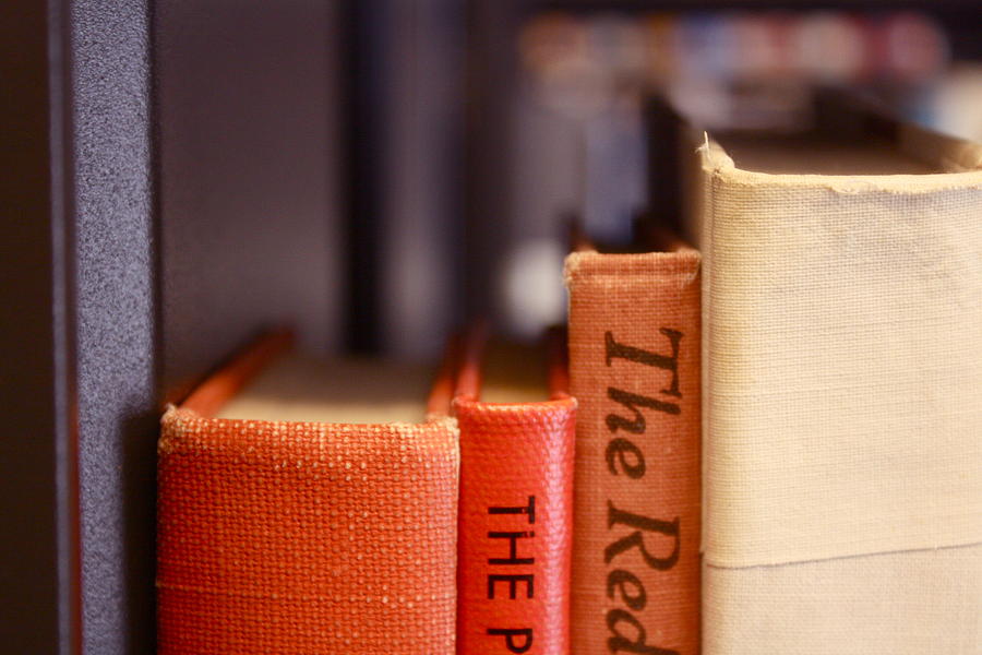 Quiet Capture Photograph by Lisa Capp - Fine Art America