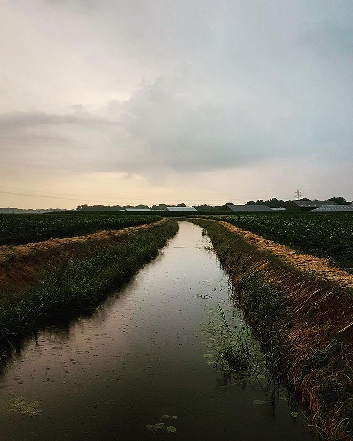 Rain at the farm Photograph by Kim Huiskes