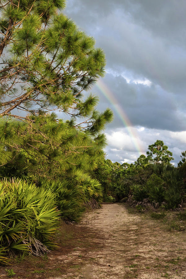 Rainbow Path Photograph by Jim Cole - Fine Art America