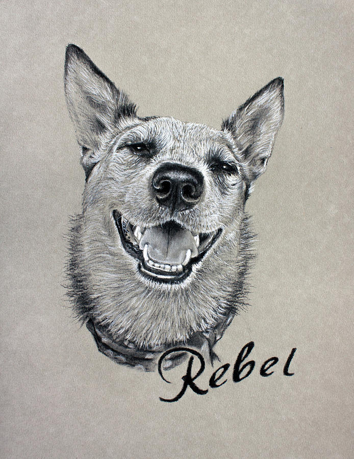 Rebel Drawing by Risa Kent - Pixels