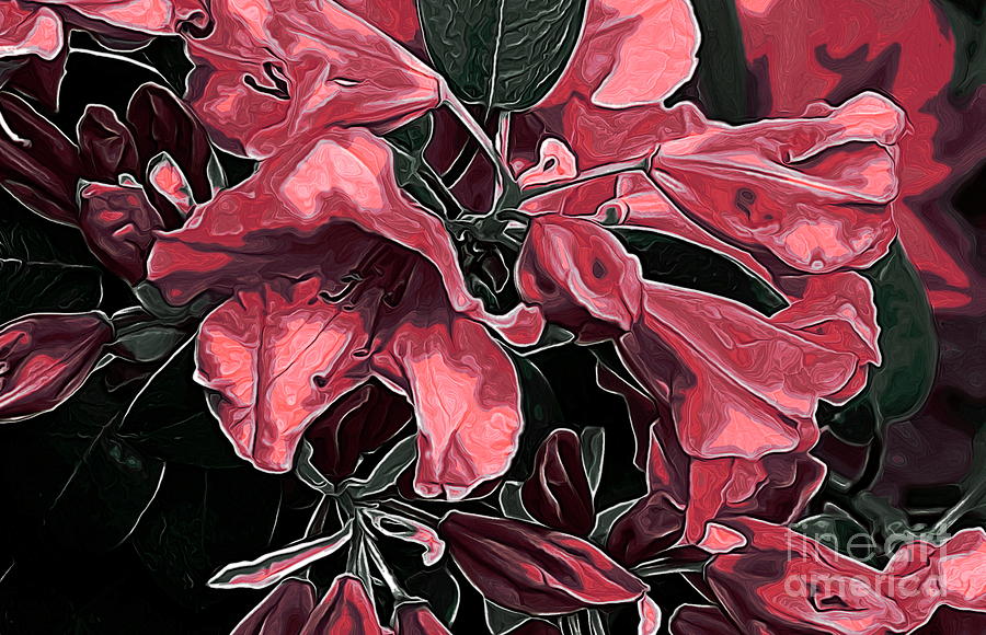 Red Azaleas Digital Art by Erica Hanel - Fine Art America