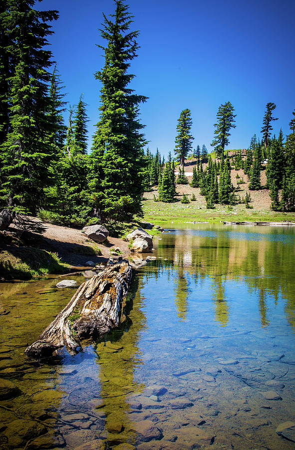 Reflecting On Emerald Lake Photograph By Jennifer Royalty Cuthbert