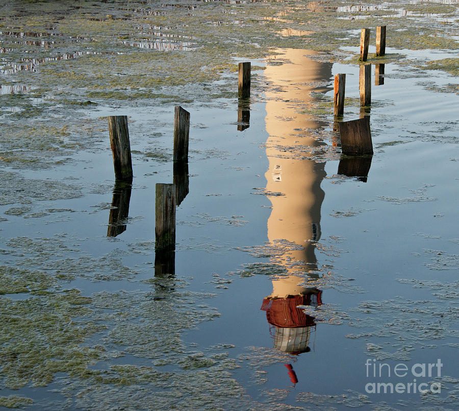 Reflection Photograph by John Steiger - Fine Art America