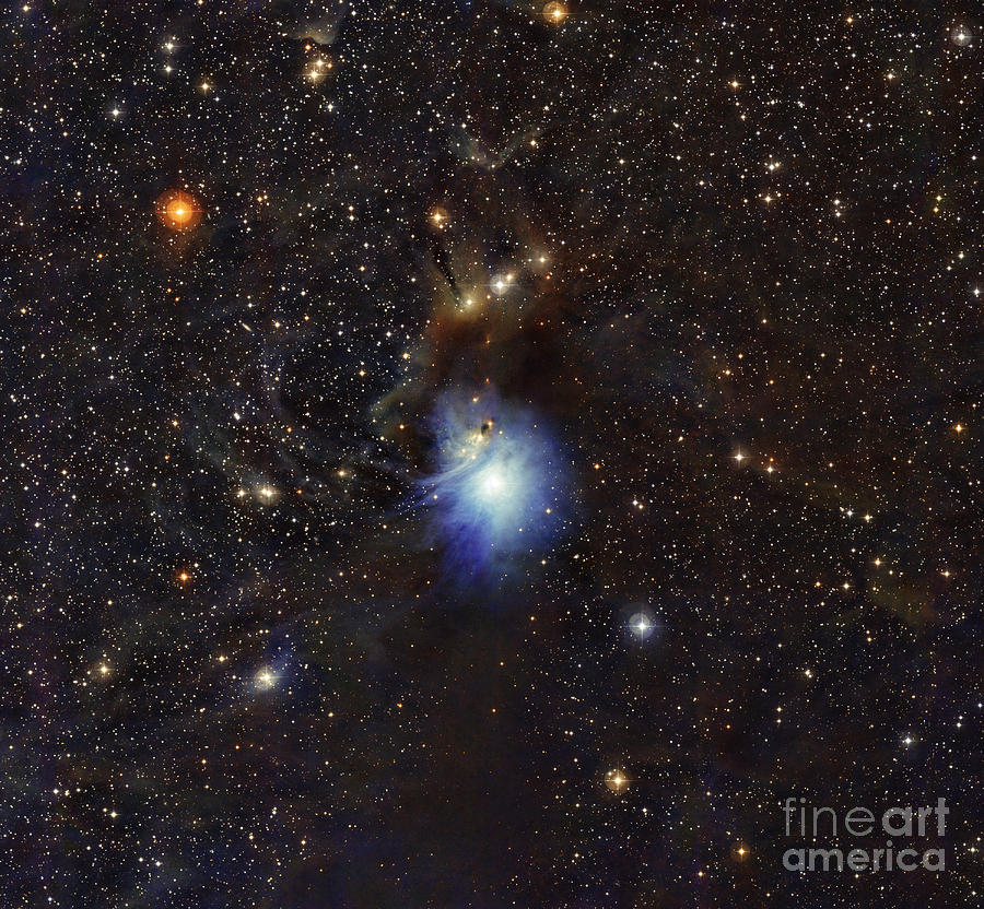 Reflection Nebula, Ic 2631 Photograph by ESO/Science Source - Fine Art ...