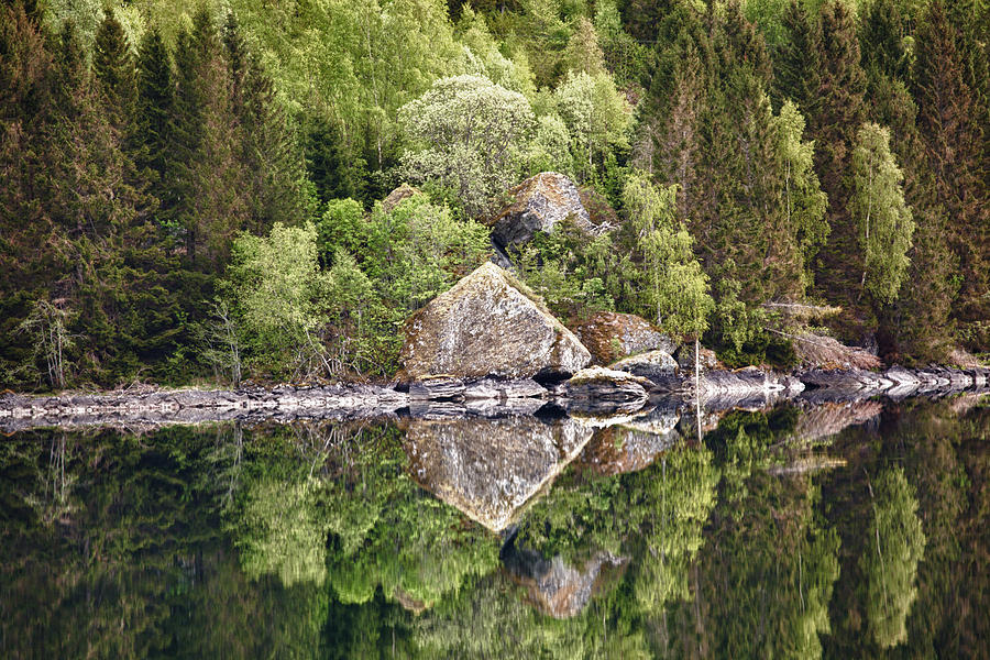 Reflection Photograph by Steve Comber - Fine Art America