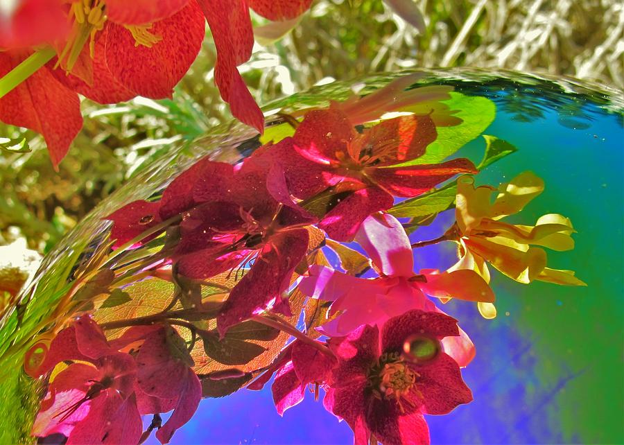 Reflections of Spring Photograph by Wendy Rickwalt | Fine Art America