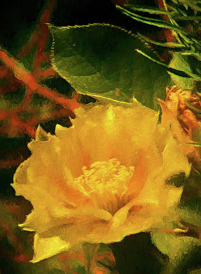 Rich Texture Mixed Media by Todd Yoder - Fine Art America