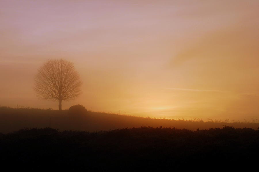 Rising Sun Photograph by Patsy Phillips - Fine Art America