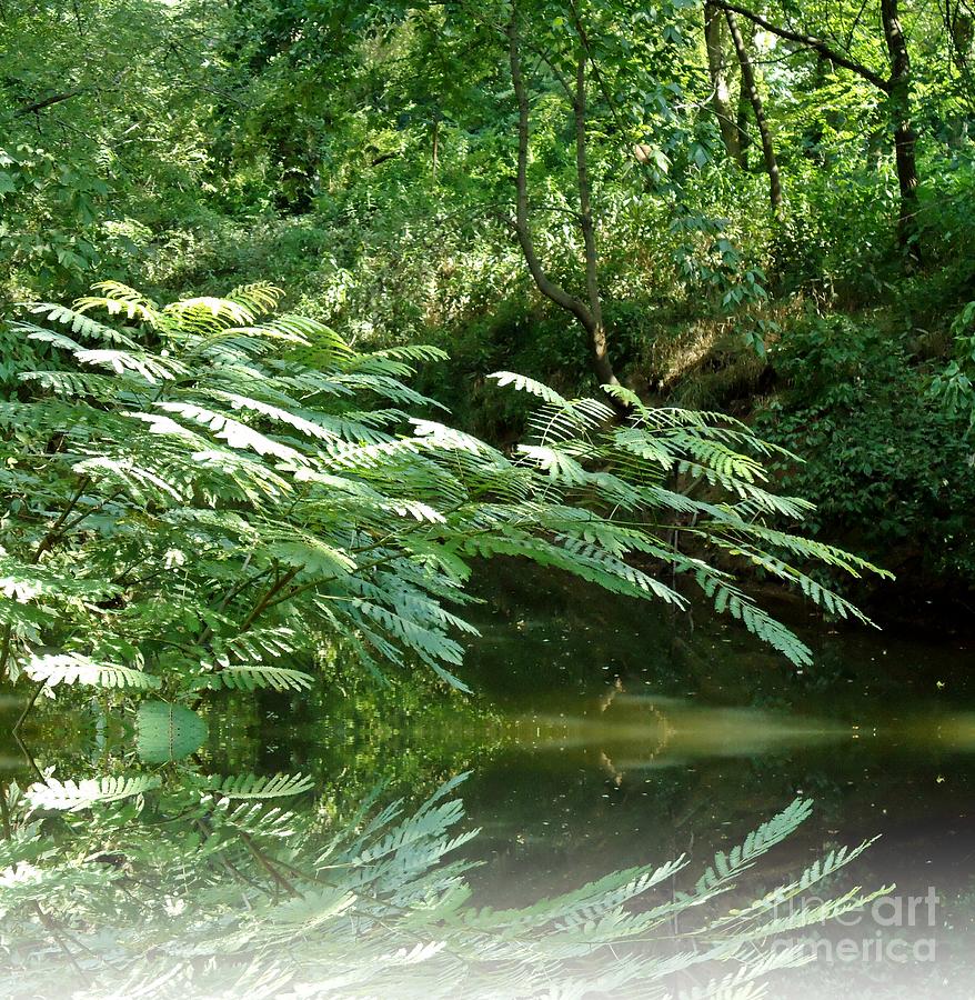 River Reflections Photograph by Karen Wallace - Fine Art America