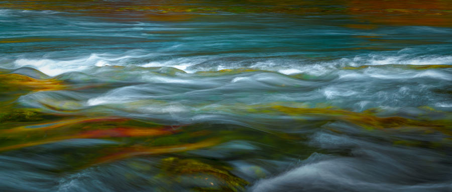 River Reflections Photograph by Shellie Littau - Fine Art America