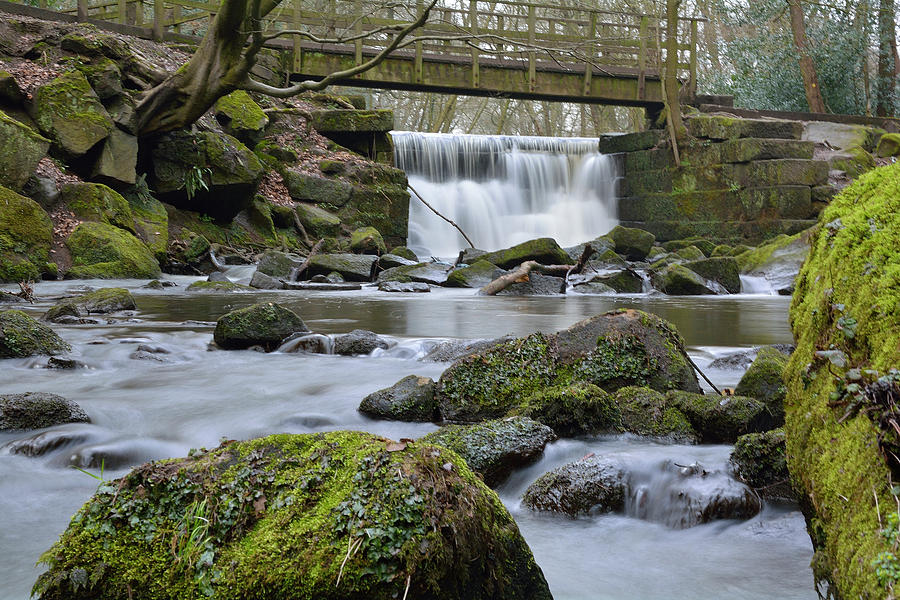 River View Photograph by Dave Daniel - Fine Art America