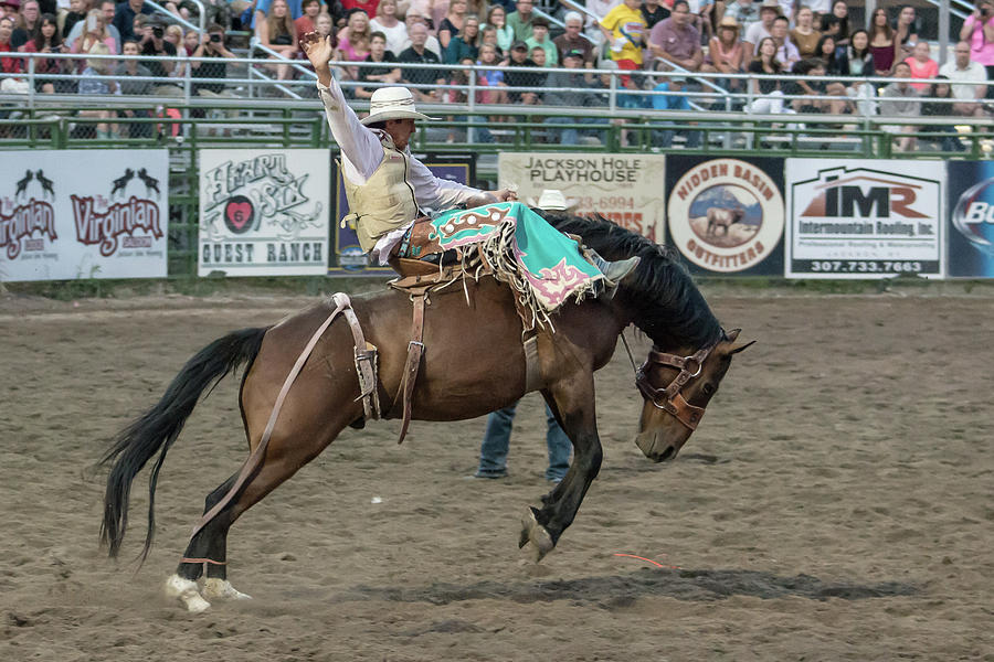 Rodeo Rider 3 Jackson Hole Rodeo Photograph by Robert Wrenn