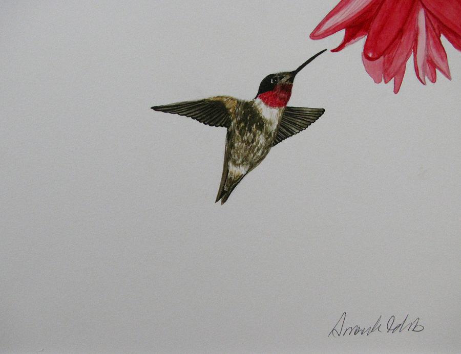 Ruby Throated Hummingbird Painting by Amanda Burek | Fine Art America