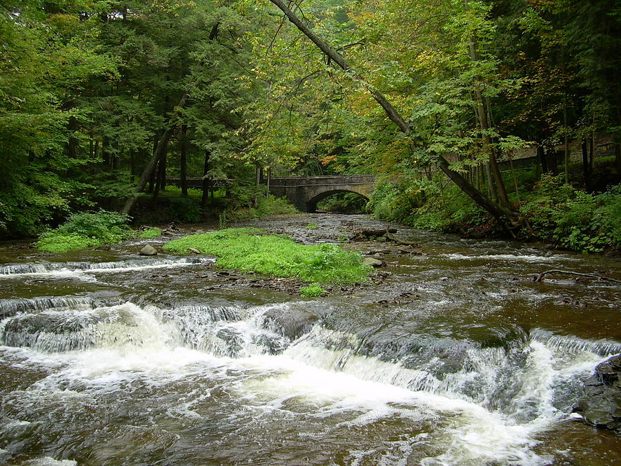 Running Stream Photograph by Michael Piotrowski - Fine Art America