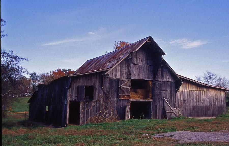 Rural Tennessee Barn - 1 Photograph by Randy Muir | Fine Art America