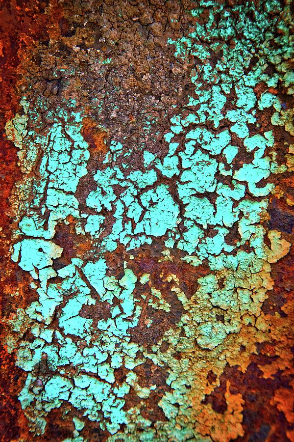 Rust Ed Photograph by Leanne Trivett - Pixels