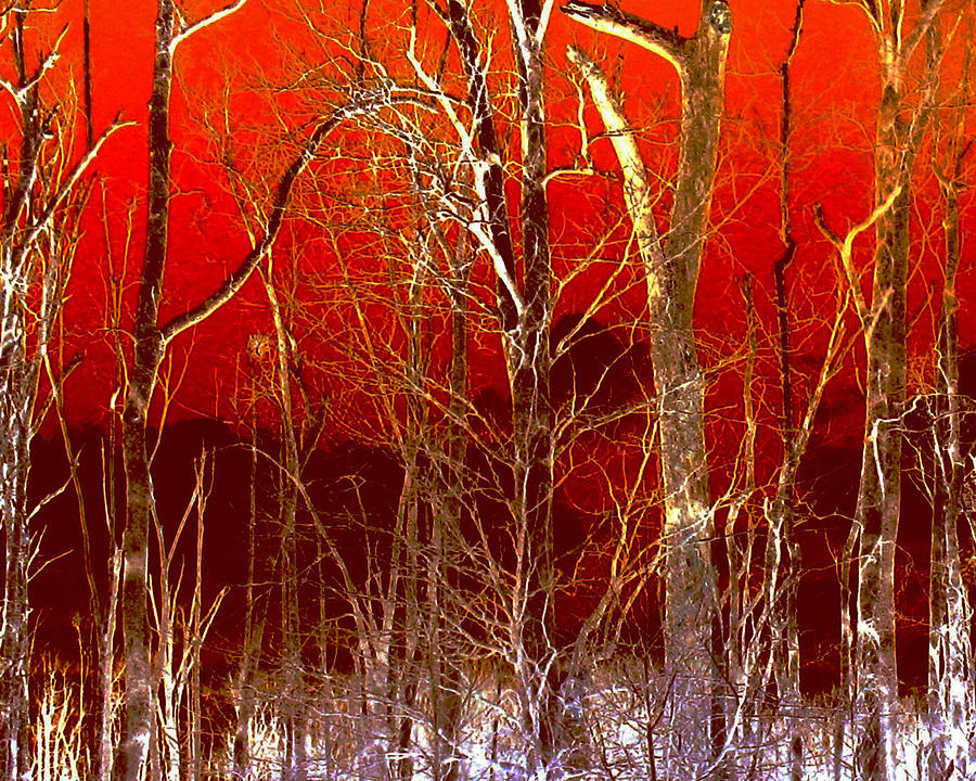 Rust Forest Photograph by Tracy Daniels - Pixels