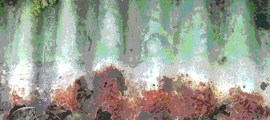 Rust Photograph by Randolph Thompson - Fine Art America