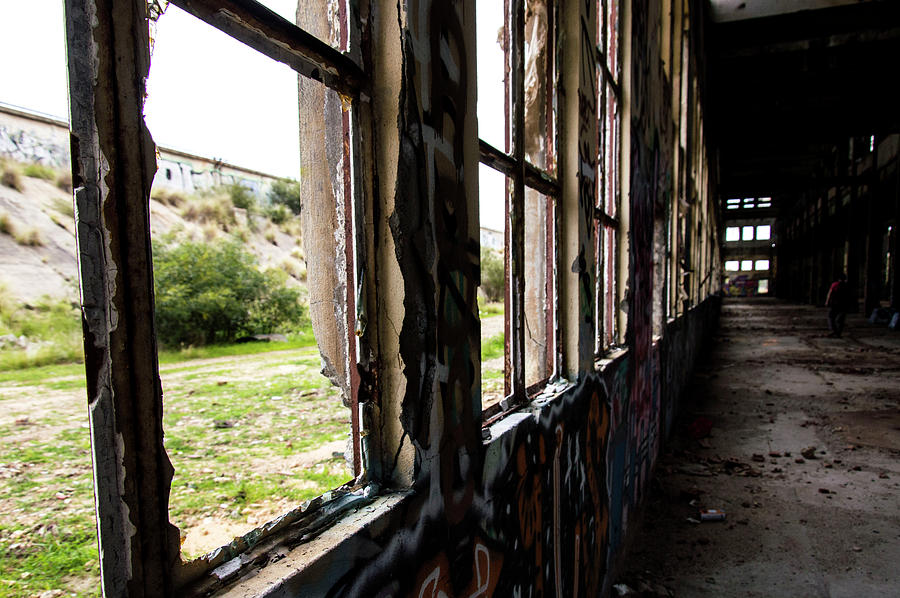 Rusted Window Frames Photograph by Ciaran Ring - Pixels