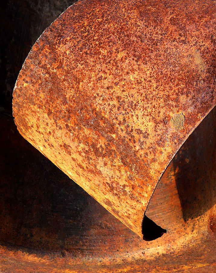 Rusty curl 2 Photograph by Elizabeth McPhee - Pixels