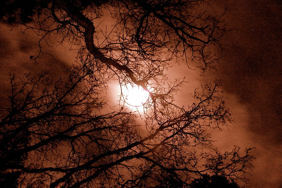 Rusty Moon Photograph by Andy Wingerd - Fine Art America