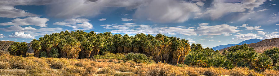 San Andreas Oasis Photograph by Jay Hooker | Pixels