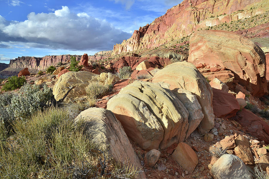 Scenic Drive Stack Photograph by Ray Mathis - Pixels
