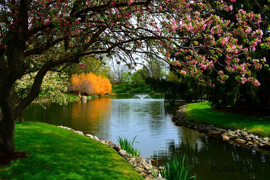 Schedel Arboretum and Gardens Photograph by Mike Guhl | Fine Art America