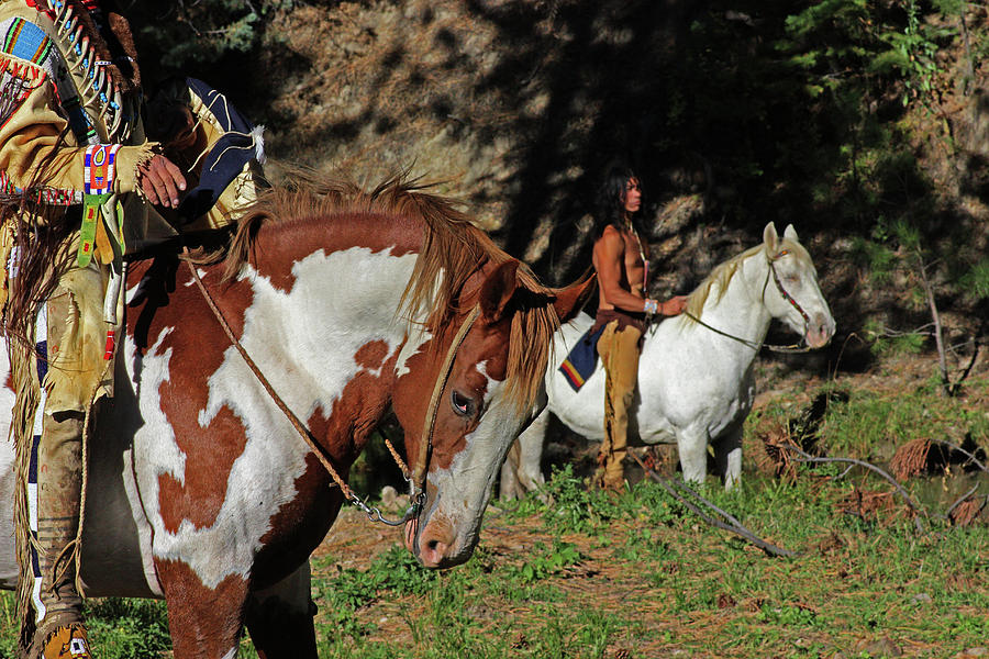 Scouts Photograph by Samantha Burrow - Pixels