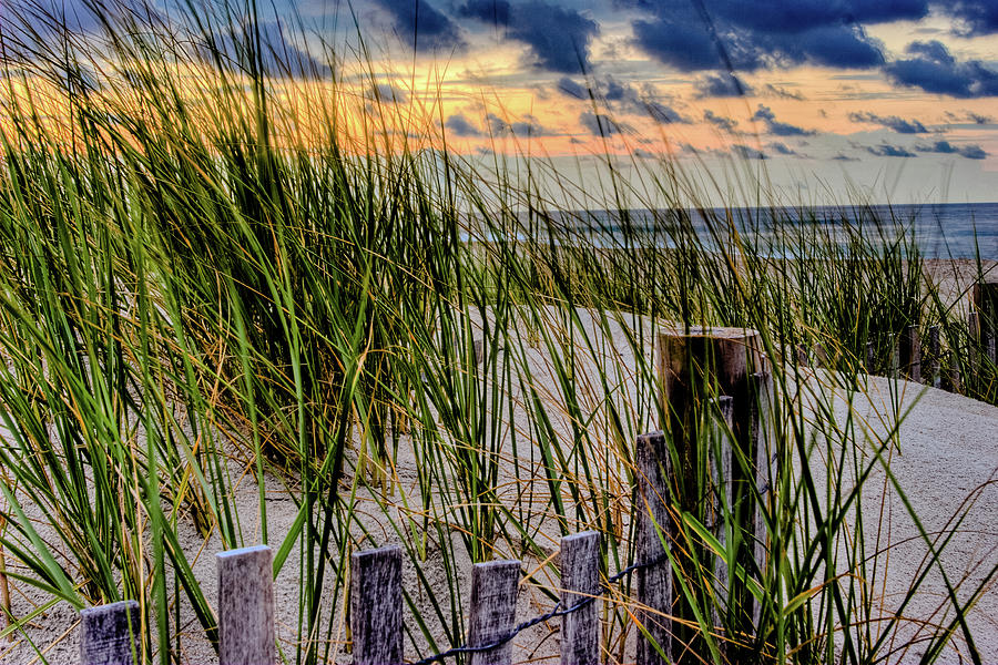 Sea Grass Photograph by Dave Hahn - Fine Art America