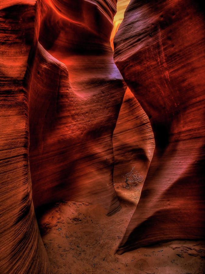 Secret Canyon 5 Photograph by Vladimir Rayzman - Fine Art America