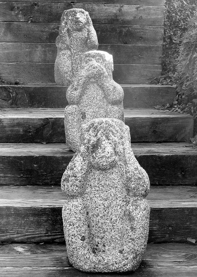 See Speak Hear No Evil Photograph By Sherwanda Irvin Fine Art America
