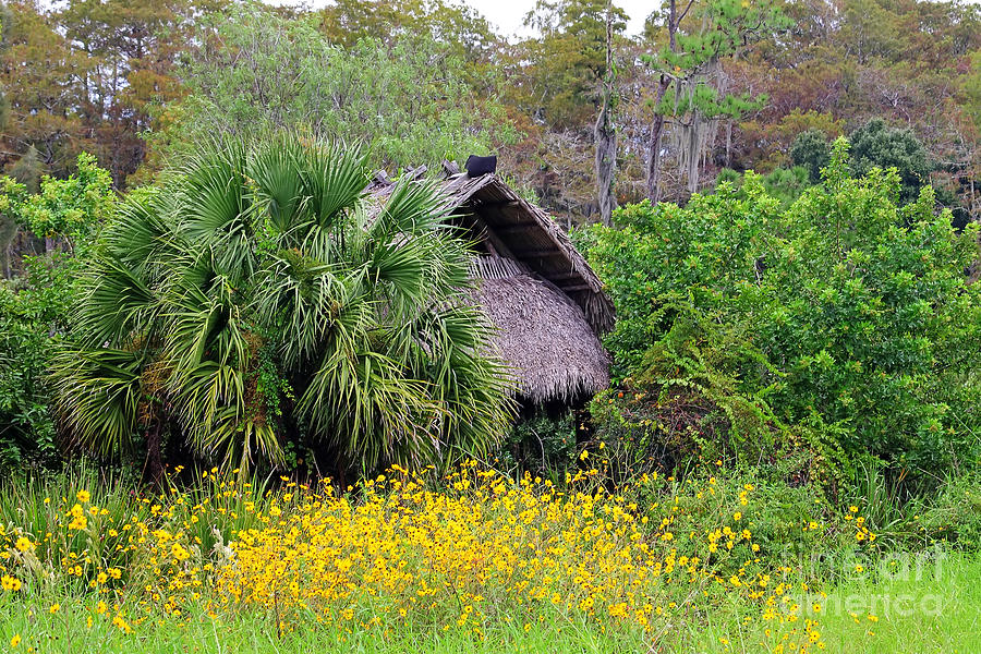 Seminole Chickee Photograph by Rick Mann