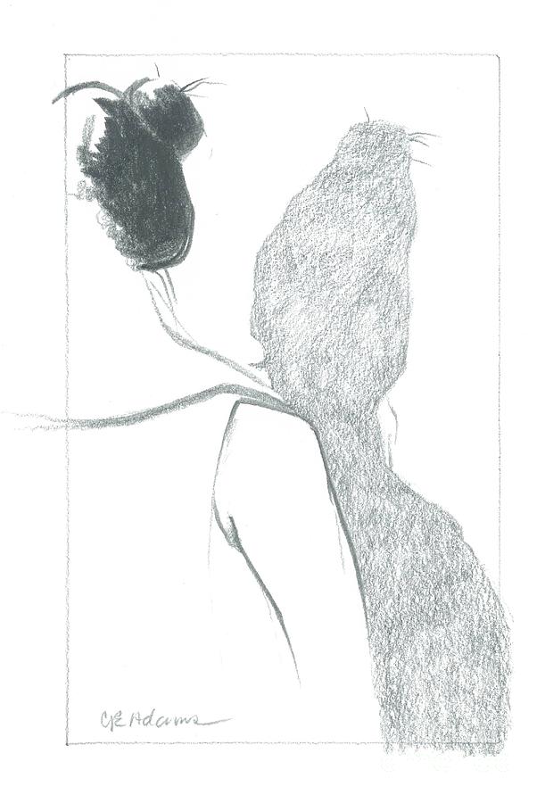 Shadow Dancer - sc Drawing by Cheryl Emerson Adams - Fine Art America